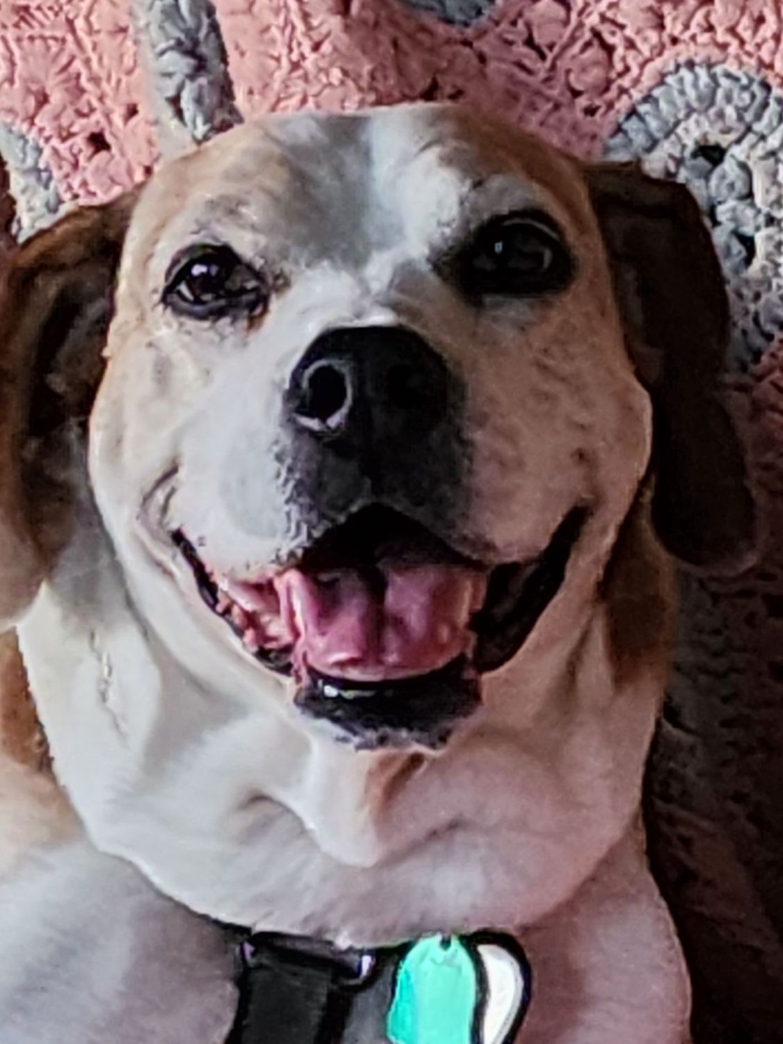 Finding Joy, Hotter Than Satan’s Taint, and More Devolution and ...